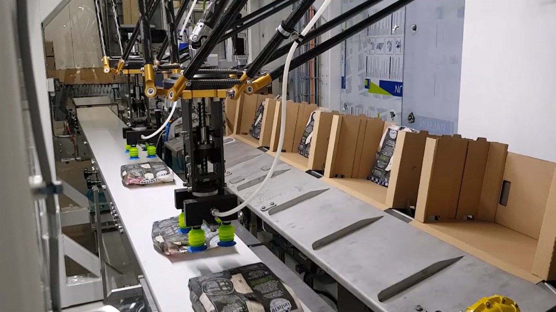 Case packers | MG Tech